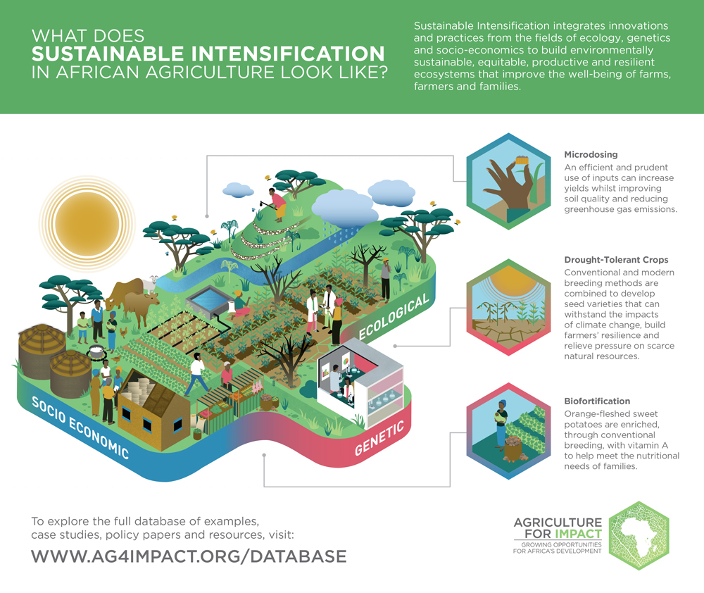 Agriculture For Impact EXPLORE THE Database Agriculture For Impact EXPLORE THE Database